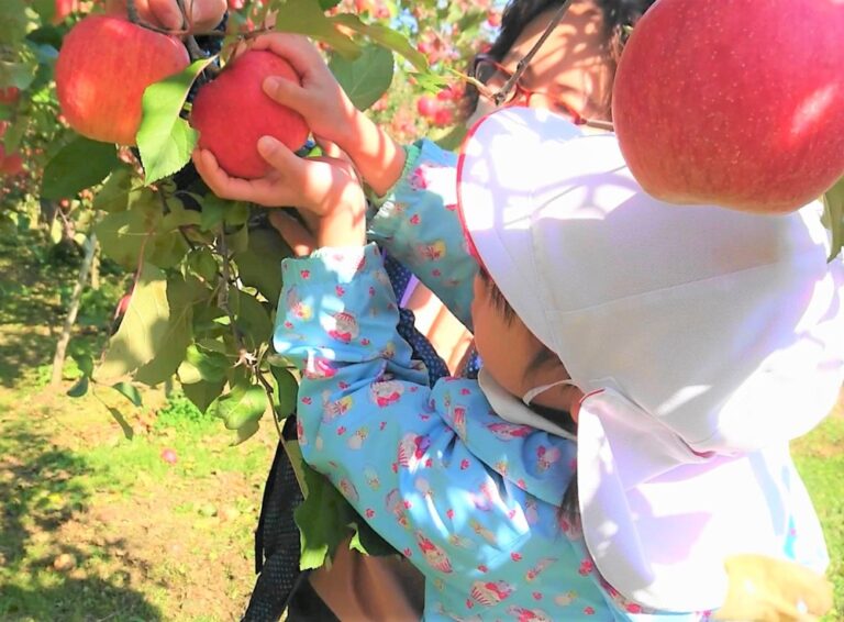 教育について | よしだマリア幼稚園公式サイト